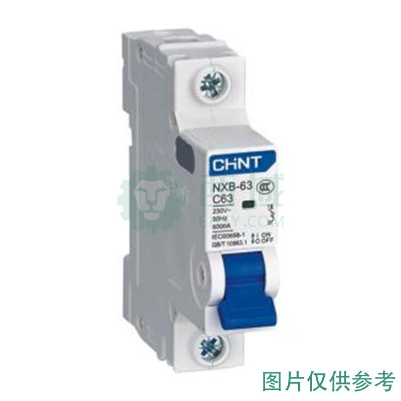 正泰CHNT 微型断路器 NB7 2P 63A C型-融创集采商城