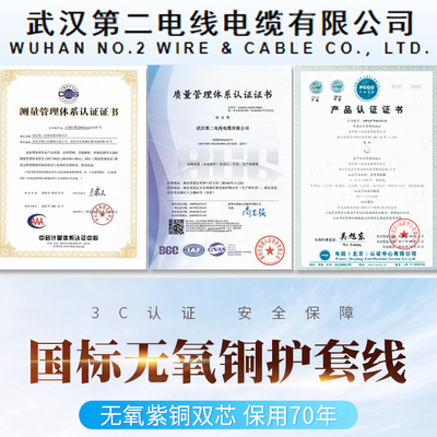 二厂电线 铜芯护套线 国标阻燃硬线 BVVB2*4平方 白色 100M/卷 单位/卷-融创集采商城