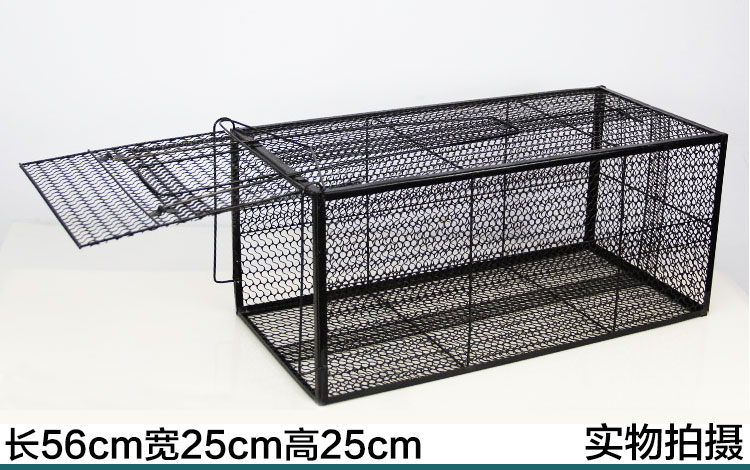 巨联 人道救助全自动捕猫笼 捉猫笼 流浪猫救助笼 寻猫神器 驱赶抓猫笼 材质:铁 562525cm 融创集采商城